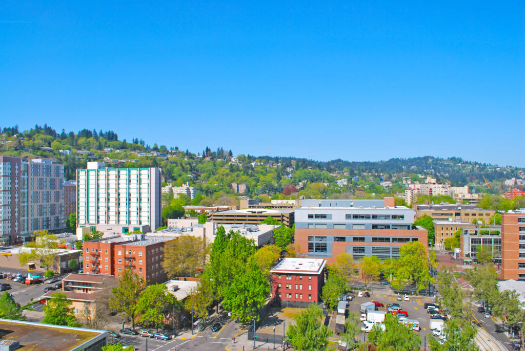 Project Lee Procedures & Participants - Project Lee