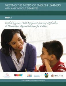 Project Lee Project Briefs - Project Lee